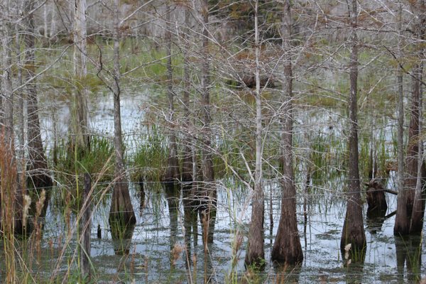 BLUEGILL TRAIL - Updated July 2025 - 14 Photos - 4700 Donald Ross Rd ...