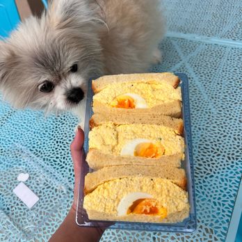 CHOO SANDO OMAKASE - Updated October 2024 - 380 Photos & 157 Reviews ...