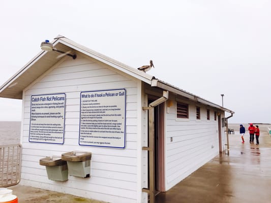 CEDAR KEY FISHING PIER - 10 Photos - 550 Dock St, Cedar Key, Florida ...
