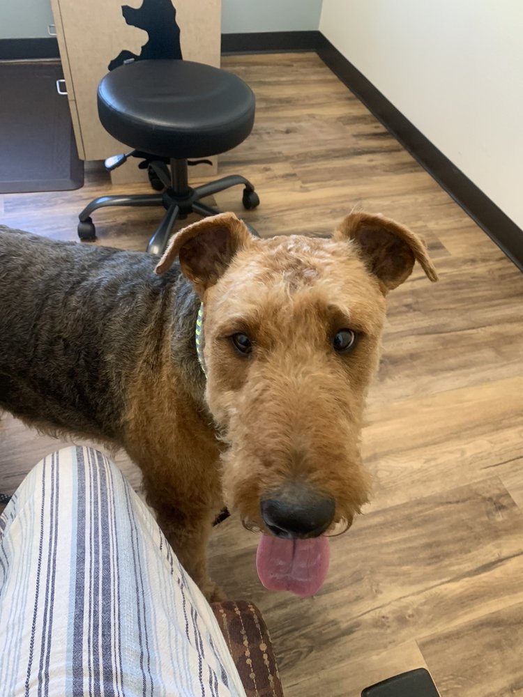 BOISE DOG BARBER SHOP - Updated August 2025 - 23 Reviews - 6732 N ...