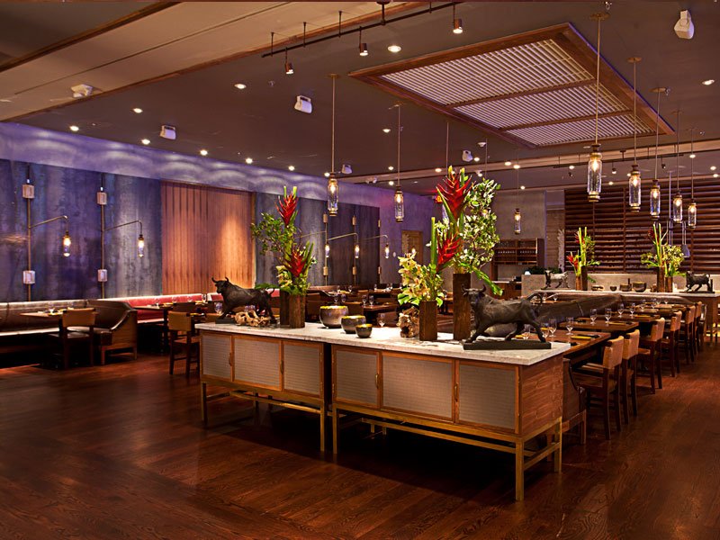 TORO TORO - Updated May 2024 - 1924 Photos & 1308 Reviews - 100 Chopin ...