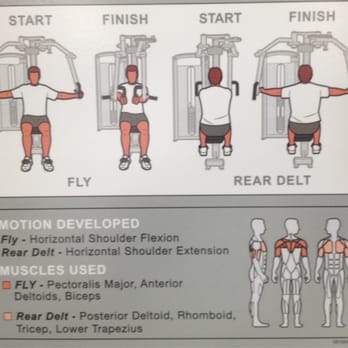 YOUFIT GYMS - Updated December 2025 - 91 Photos & 39 Reviews - 3133 N ...