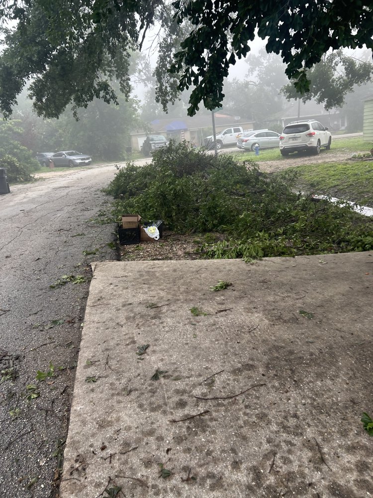 TREE TRASH REMOVAL - Updated August 2024 - Request a Quote - Houston ...