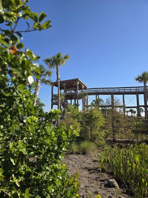 EVERGLADES ELEVATED BOARDWALK - Updated January 2026 - 78 Photos & 12 ...