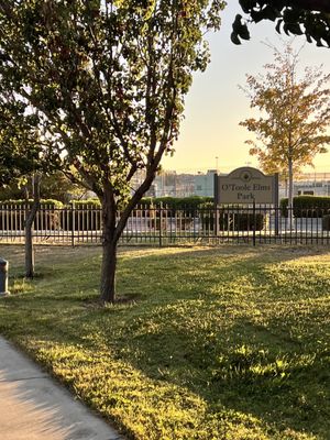 O’TOOLE ELMS PARK - Updated September 2025 - 52 Photos & 12 Reviews ...