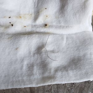 ORSETTA CRAFT KITCHEN & BAR - Updated April 2025 - 28 Photos & 17 ...