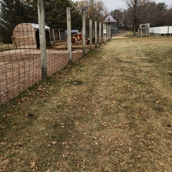 WILLIAMS TREE FARM - Updated October 2025 - 66 Photos & 26 Reviews ...