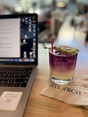 THE MONICA - Updated December 2024 - 703 Photos & 410 Reviews - 40 E ...