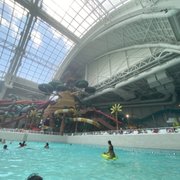 DREAMWORKS WATER PARK - 163 Photos & 98 Reviews - 1 American Dream Way ...