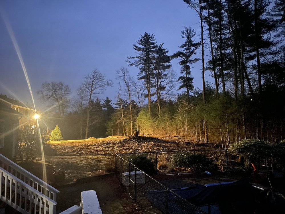 DESTITO TREE SERVICES - Updated December 2025 - 22 Photos & 21 Reviews ...