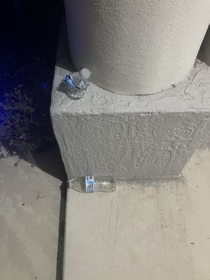 VITL POWER - Updated September 2025 - 11 Photos - Winter haven, Florida ...