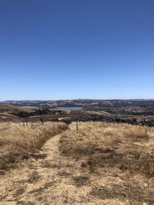 BAY RIDGE TRAIL - Updated June 2024 - 53 Photos & 11 Reviews - Vallejo ...