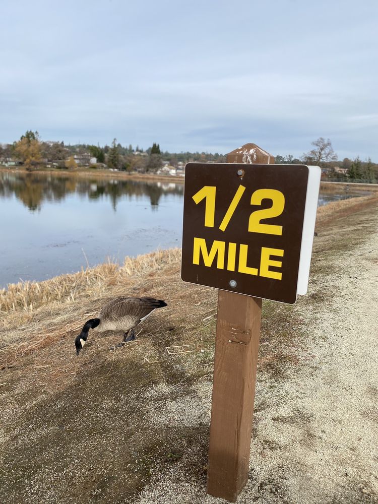 CAMERON PARK LAKE - Updated September 2024 - 64 Photos & 24 Reviews ...