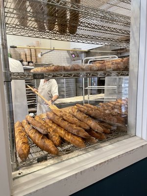 BREAD FURST - 328 Photos & 553 Reviews - 4434 Connecticut Ave ...