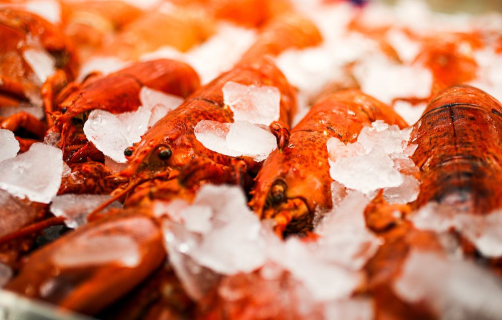 SEAFOOD DEPOT - Updated June 2025 - 52 Photos & 17 Reviews - 81 Aviva ...