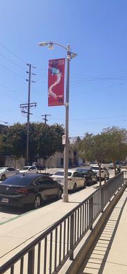 CHRISTOPHER CHU, MD - Updated January 2026 - 711 W College St, Los ...