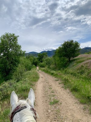 BEAR CREEK STABLES - 49 Photos & 38 Reviews - 15600 W Morrison Rd ...