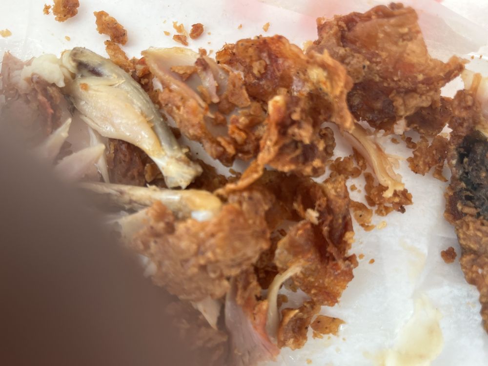 KFC - Updated October 2025 - 18 Reviews - 223 N Morrison Blvd, Hammond ...