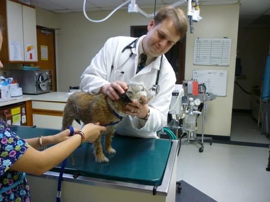 BURKE ANIMAL CLINIC - Updated June 2026 - 18 Photos & 63 Reviews - 6307 ...