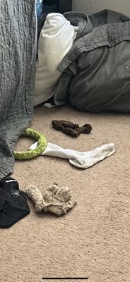 REDPOINT RALEIGH - Updated December 2025 - 40 Photos & 17 Reviews - 10 ...