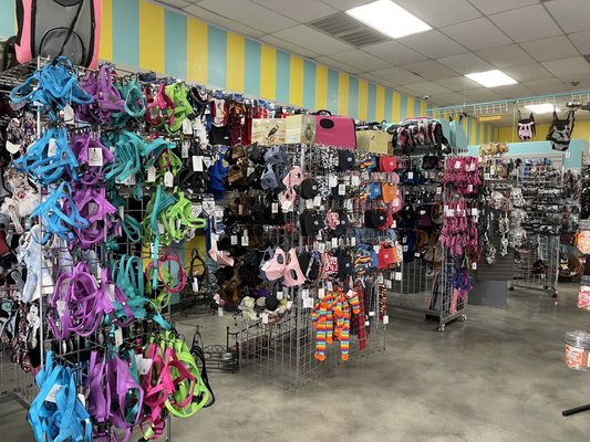 K9 CAFE BOUTIQUE & SPA - BABCOCK - Updated January 2025 - 167 Photos ...