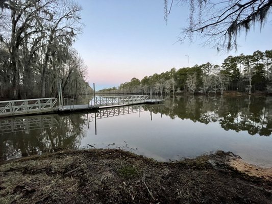 CADDO LAKE STATE PARK - Updated December 2024 - 122 Photos & 35 Reviews ...