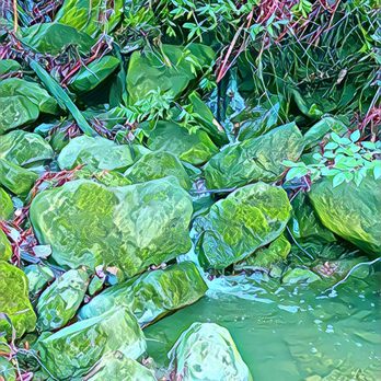 DON CASTRO REGIONAL RECREATION AREA - Updated January 2026 - 401 Photos ...