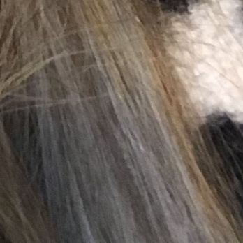 PRIVÉ SALON AND STYLE BAR - NEWTOWN SQUARE - Updated January 2026 - 85 ...