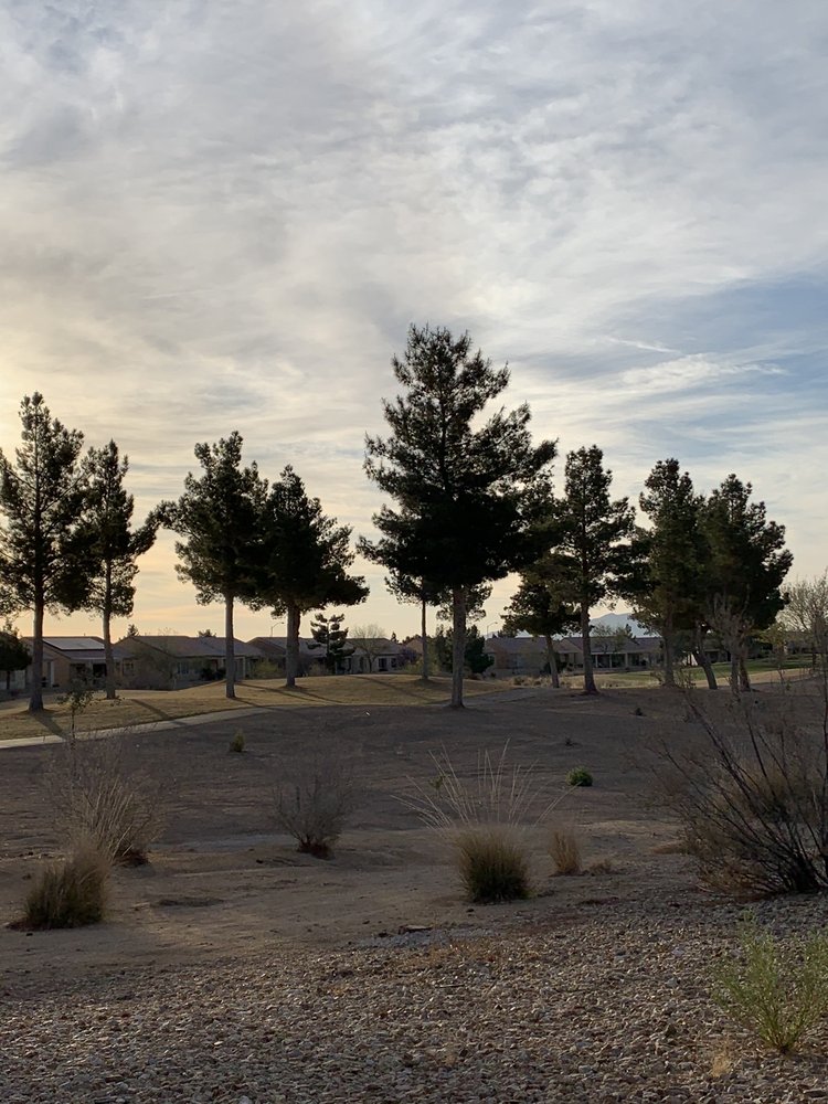 SUN CITY ALIANTE - Updated February 2025 - 10 Photos - 7930 Aliante ...