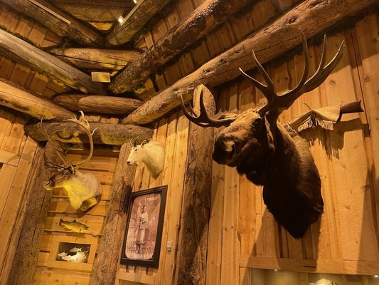 BASS PRO SHOP - 38 Photos & 29 Reviews - Outdoor Gear - 3046 Mountain ...