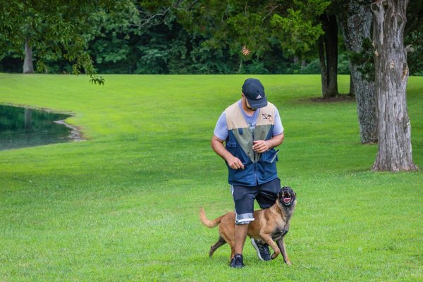 ULTIMATE K9 TRAINING - Updated December 2025 - Request Consultation - 101 Didion Dr, St. Peters ...