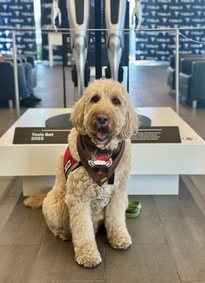 TESLA - Updated October 2025 - 108 Reviews & 63 Photos - 7920 Lindbergh ...