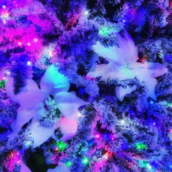 WINTER CITY LIGHTS - Updated November 2024 - 50 Photos & 20 Reviews ...