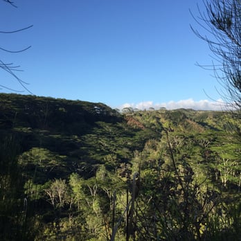 POAMOHO RIDGE TRAIL - Updated December 2025 - 98 Photos & 12 Reviews ...