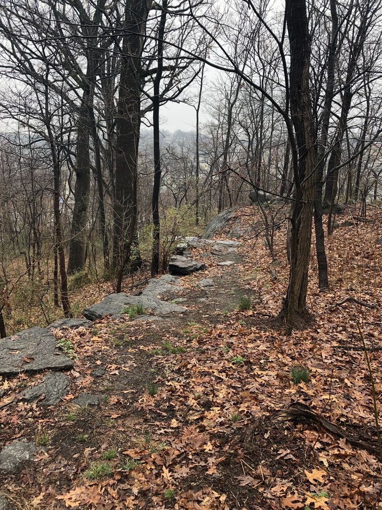 LESLIE SUTHERLAND PARK - Updated January 2026 - 37 Photos - 35 ...