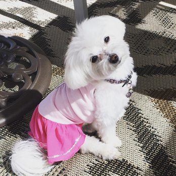 MODERN ANIMAL - Updated December 2025 - 70 Photos & 159 Reviews - 10023 ...