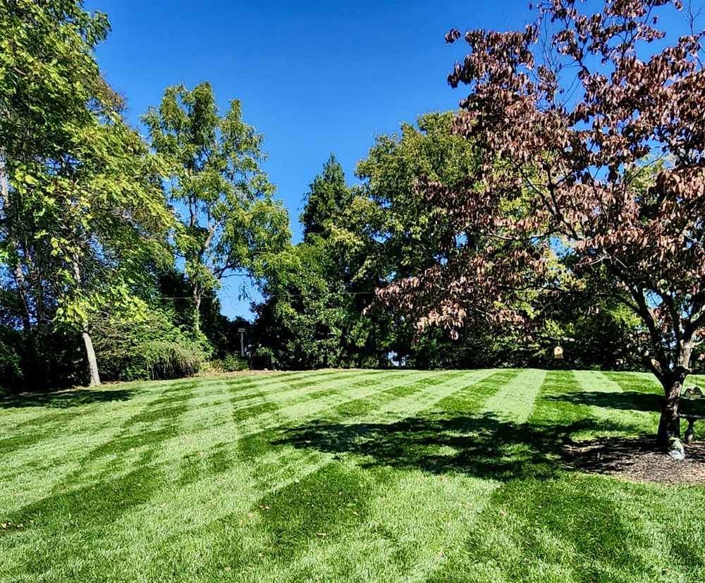 JULIO’S TREE & LANDSCAPING SERVICES - Updated August 2025 - 16 Photos ...