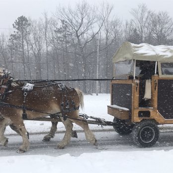 CHESTNUT RIDGE PARK - Updated December 2025 - 159 Photos & 62 Reviews ...