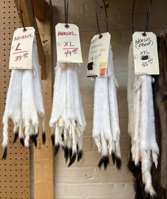 BILL WORB FURS - Updated December 2025 - 26 Photos - 312-314 Ross ...