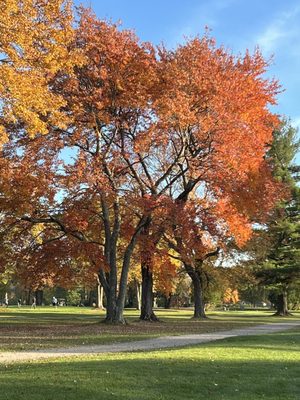 WAYLAND COUNTRY CLUB - Updated October 2025 - 11 Photos & 37 Reviews ...