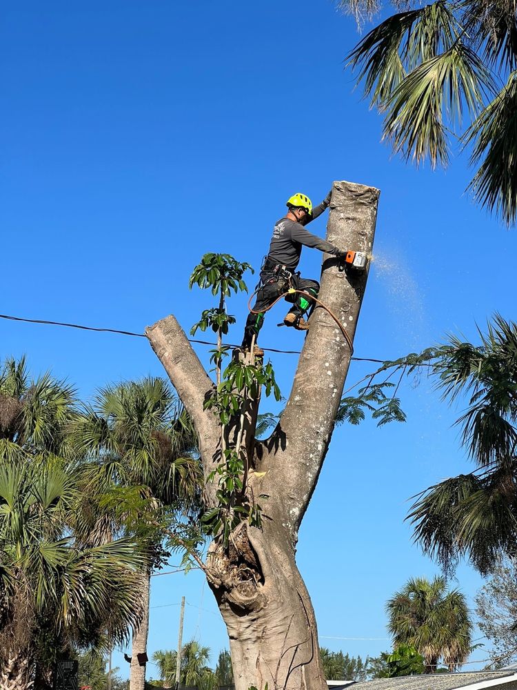 GREEN LIFE LAWN CARE & TREE SERVICE - Updated November 2025 - Bonita ...