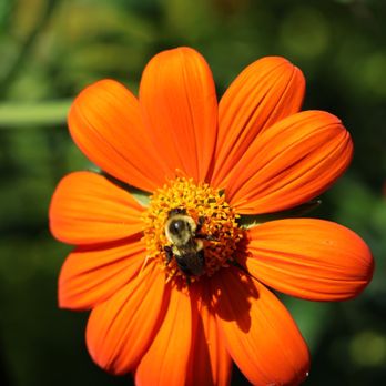 PHS MEADOWBROOK FARM - Updated October 2025 - 70 Photos & 16 Reviews ...