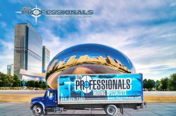 THE PROFESSIONALS MOVING SPECIALISTS - Updated October 2025 - 460 ...