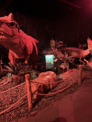 DINOS ALIVE - Updated December 2025 - 39 Photos & 13 Reviews - 31 15th ...