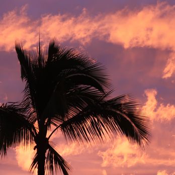 SUNSET TERRACE - Updated December 2025 - 95 Photos & 148 Reviews - 78 ...