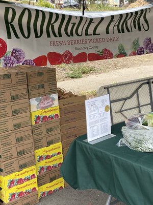 RODRIGUEZ FARMS - Updated March 2025 - 21 Photos & 23 Reviews - 15374 ...