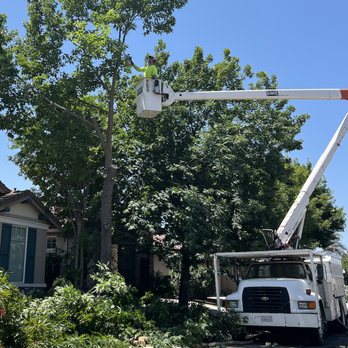 KINGDOM TREE SERVICES - Updated December 2025 - 16 Photos & 30 Reviews ...