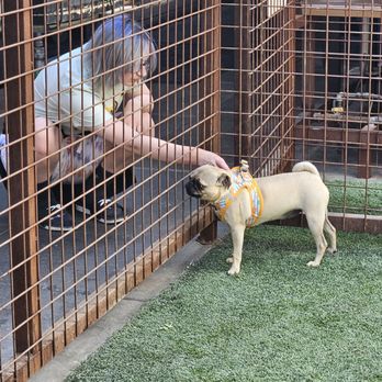 OHSO BREWERY- GILBERT - Updated February 2025 - 1214 Photos & 1020 ...