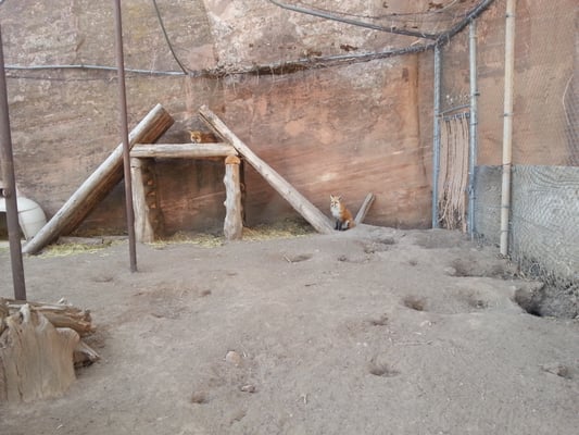 NAVAJO NATION ZOO AND BOTANICAL PARK - Updated July 2025 - 46 Photos ...