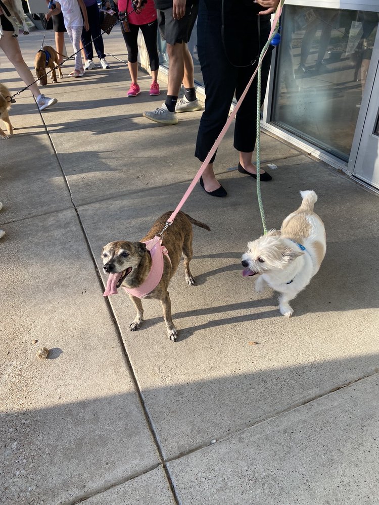 TEXAS COALITION FOR ANIMAL PROTECTION - HURST - 52 Photos & 179 Reviews ...